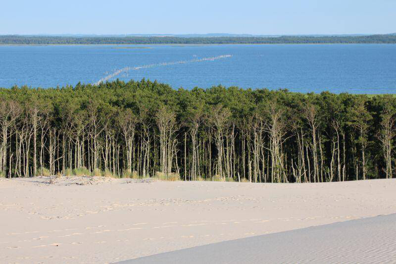 Wydmy Łeba Słowiński Park Narodowy - ruchome piaski nad morzem ...