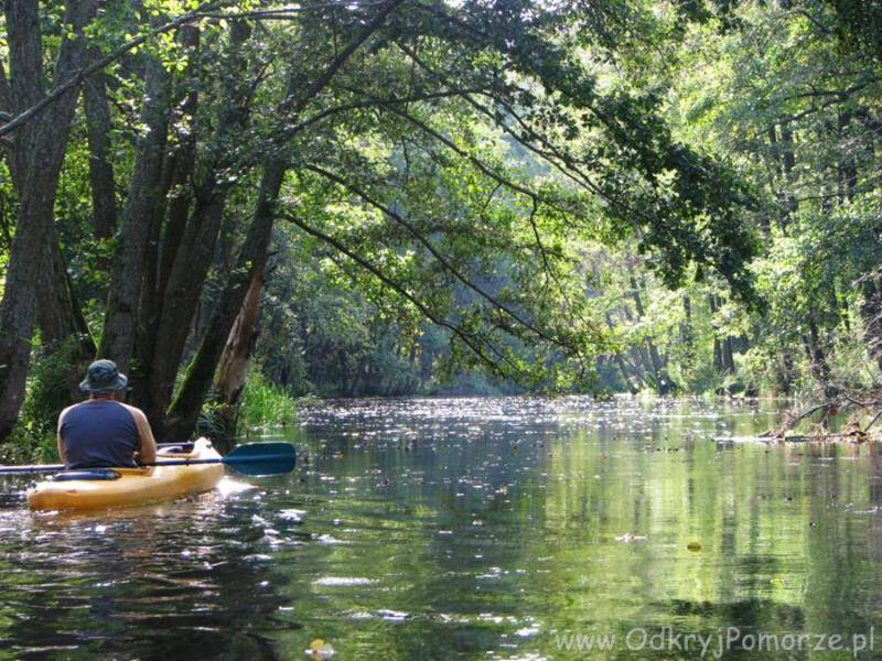 Wiele atrakcje ⭐ ciekawe miejsca 🧭 Bory Tucholskie | odkryjPomorze.pl
