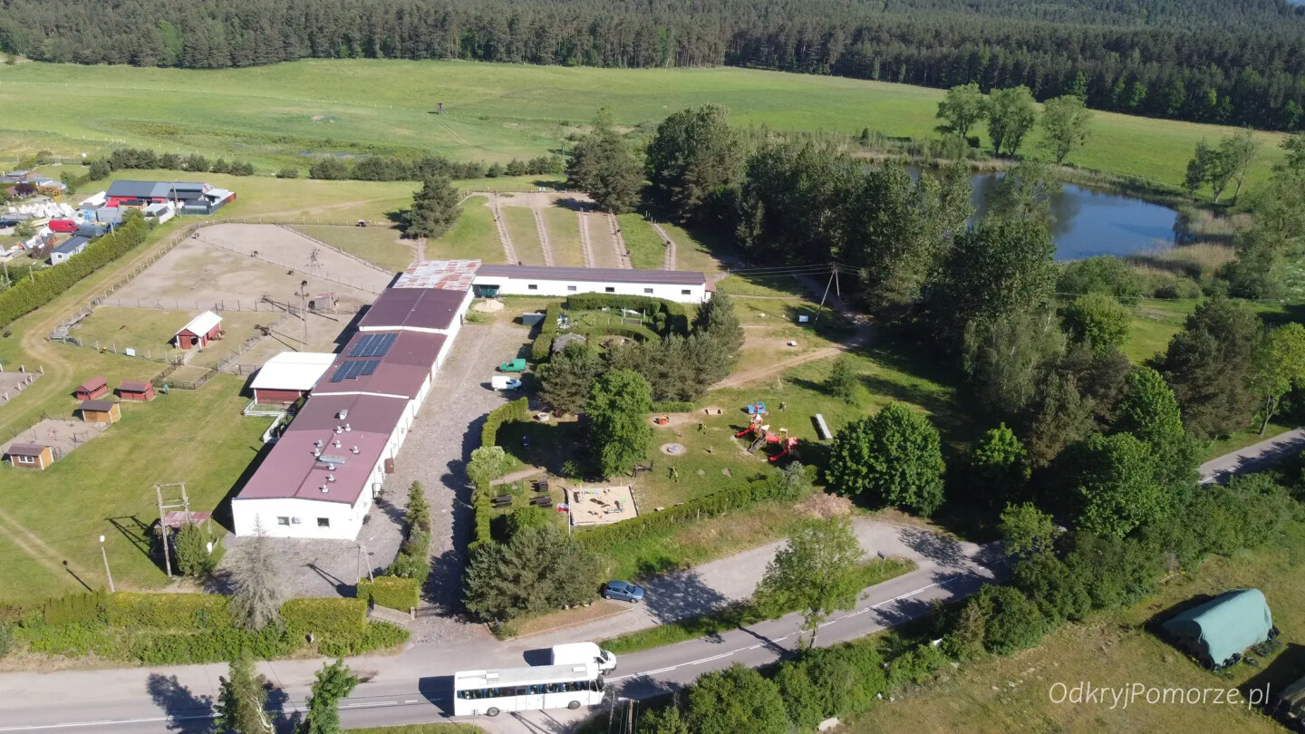 Strusia Farma Kniewo ferma strusi - strusie atrakcje Kaszuby ...