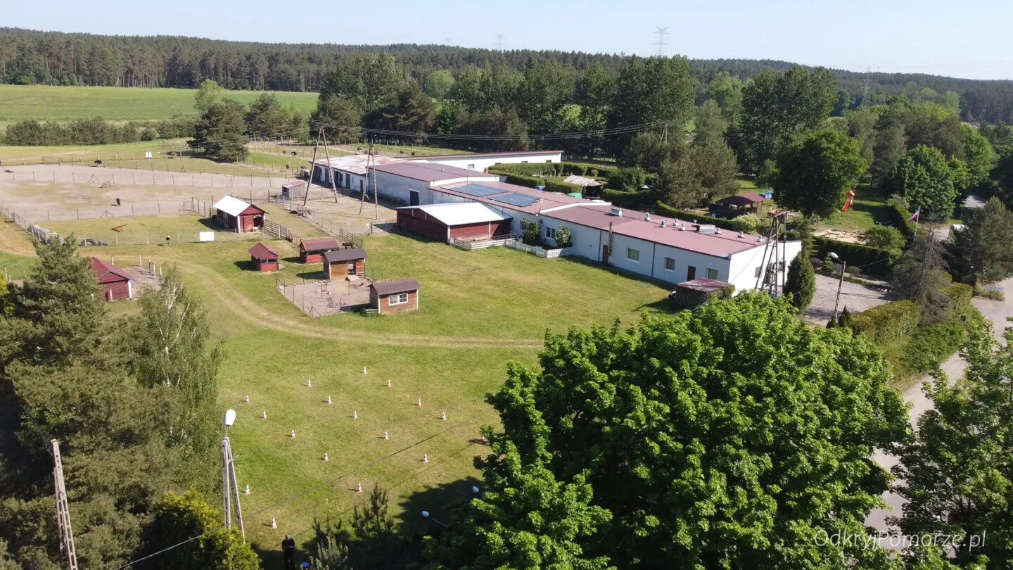 Strusia Farma Kniewo ferma strusi - strusie atrakcje Kaszuby ...